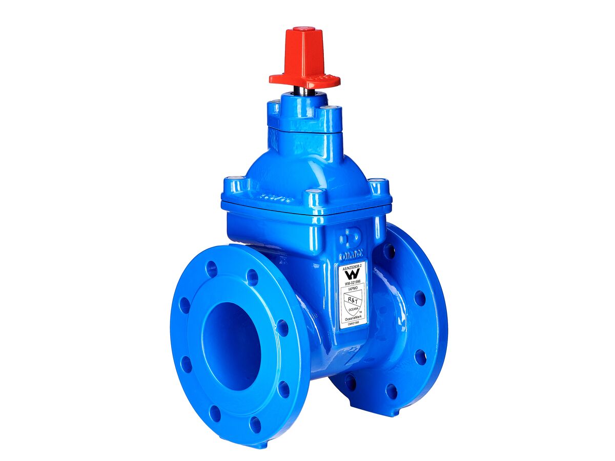 Dimax Resilient Seat Gate Valve (Flange x Flange) PN25 B6 80mm ...