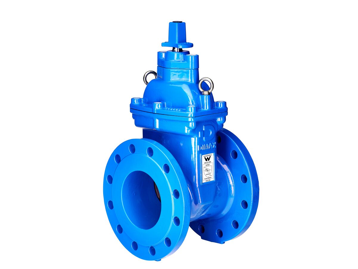 Dimax Resilient Seat Gate Valve (Flange x Flange) PN25 B6 150mm ...