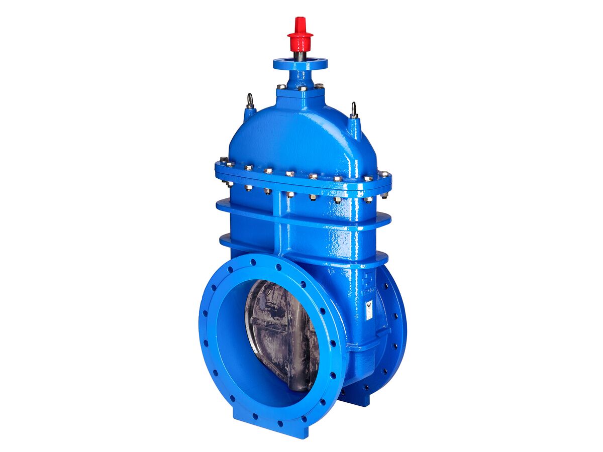 Dimax Resilient Seat Gate Valve (Flange x Flange) PN16 B5 500mm ...