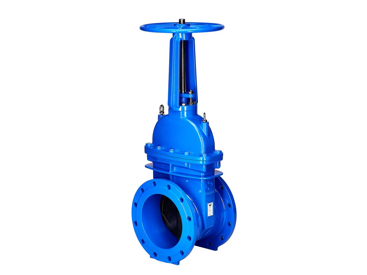 Dimax Reslient Seated Gate Valve OS&Y PN16 Table E 250mm Clockwise ...