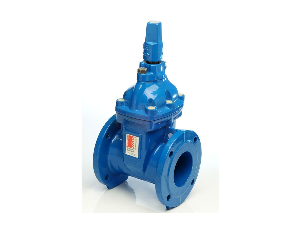 Resilient Seat Gate Valve PN16 B5 (Flanged) 100mm CC from Reece