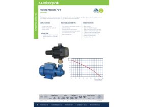 Waterpro DT42 Turbine Pump with Pressure Controller from Reece