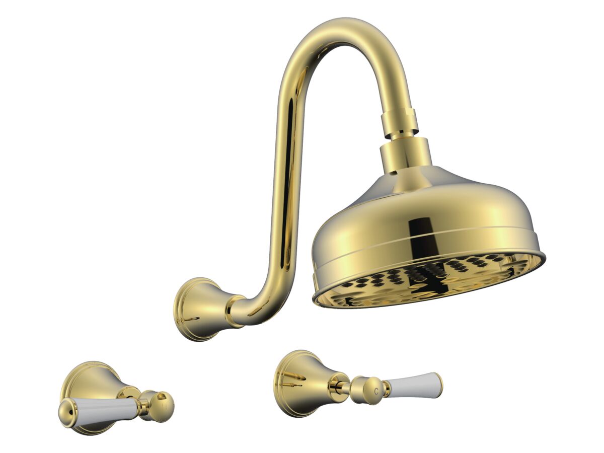 Posh Canterbury Gooseneck Shower Set Lever Porcelain Handles Polished ...
