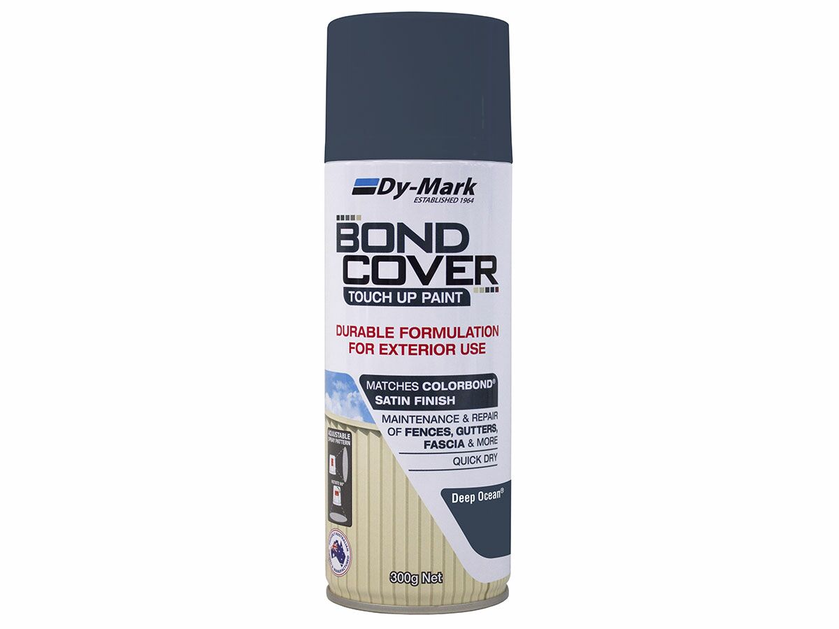 Colorbond Spray Paint Deep Ocean 300G from Reece