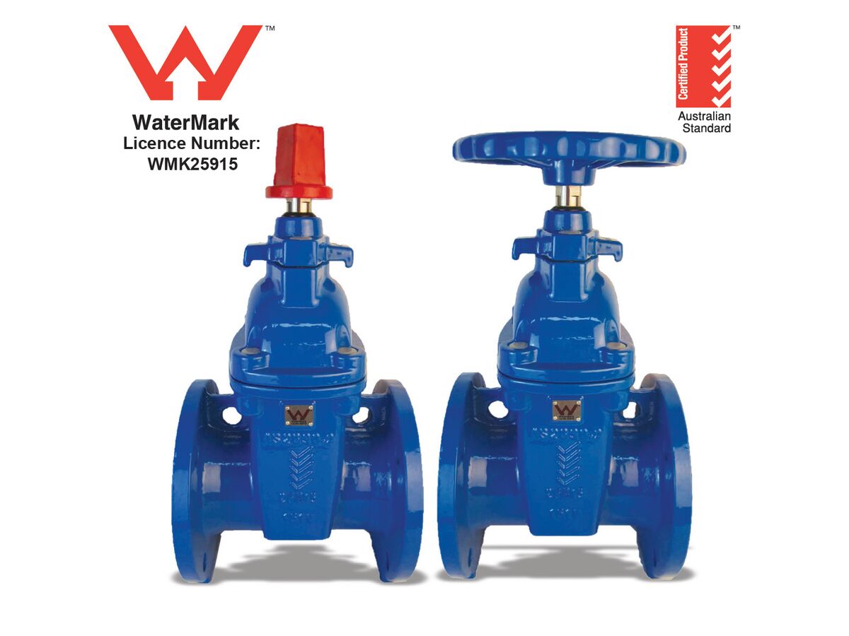 Resilient Seat Gate Valve AS2638.2 with Keycap & ISO Mount 50mm ...
