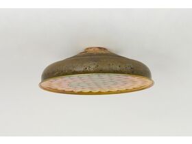 Raw Brass 140mm Overhead Shower Rose Only from Reece